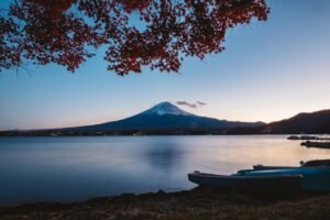 Što je fuji jabuka - portalinformer.com