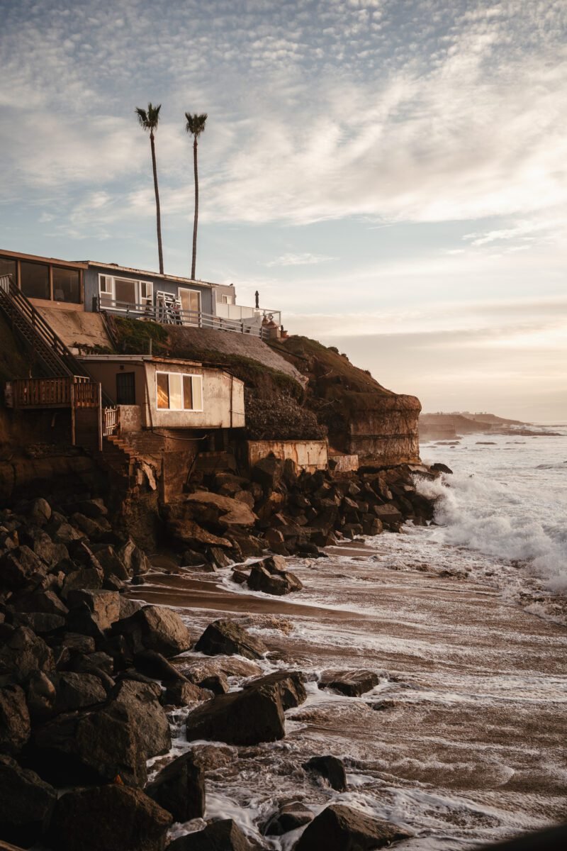 Što je štakor - portalinformer.com